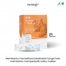 Herbilogy On The Go Java Turmeric (Temulawak) Extract Powder - 20 ...