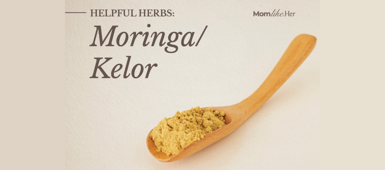 Get to know… Moringa! | Herbilogy